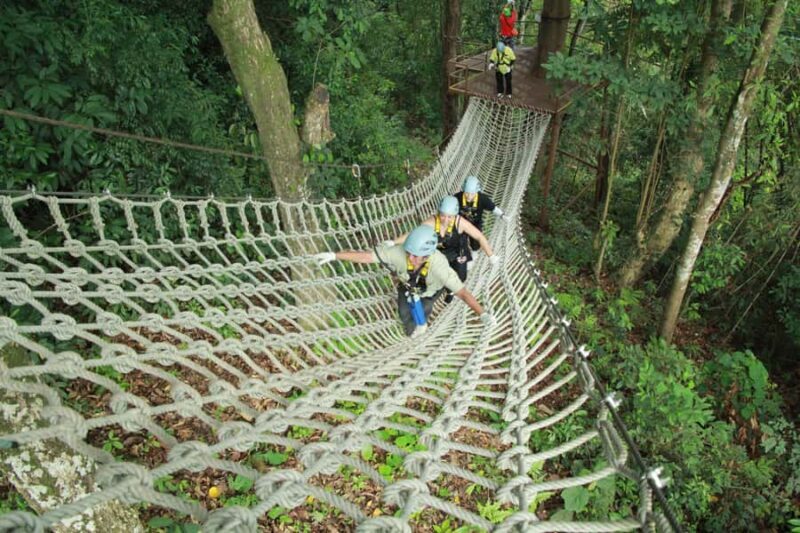 Chiang Mai: Zipline Adventure with Buffet Lunch and - The Verdict: Is It Worth It?