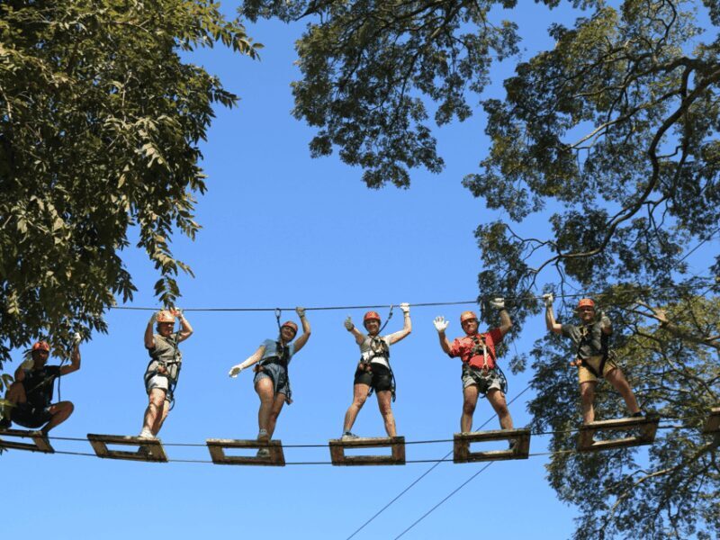 Chiang Mai: Zipline adventure with lunch & city hotel pickup - The Course Options and Platforms