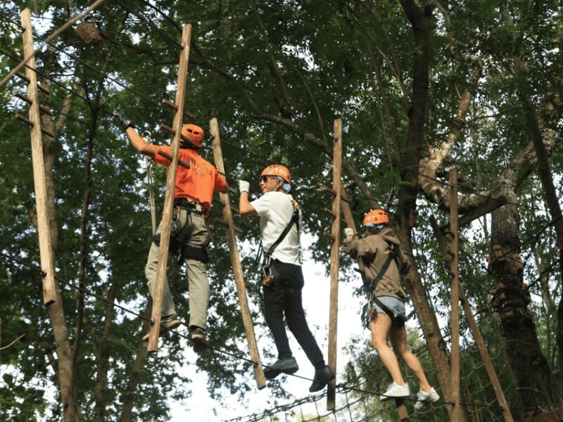 Chiang Mai: Zipline adventure with lunch & city hotel pickup - Who Will Love It?
