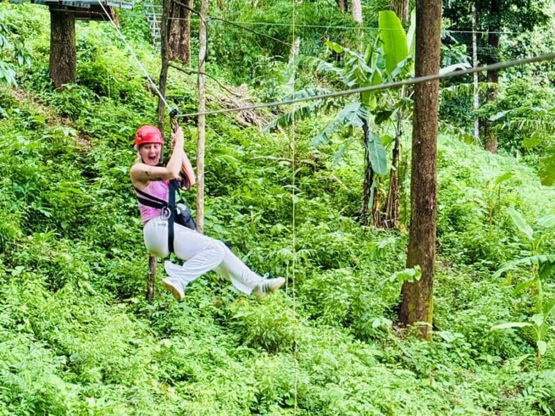 Chiang Mai: Zipline, Rafting and Sticky Waterfall Tour - An In-Depth Look at the Tour