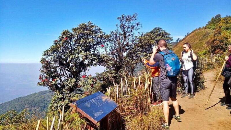 Chiang Mai:Doi Inthanon National Park & Hike at Kew Mae Pan - Introduction: An Authentic Day in the Mountains