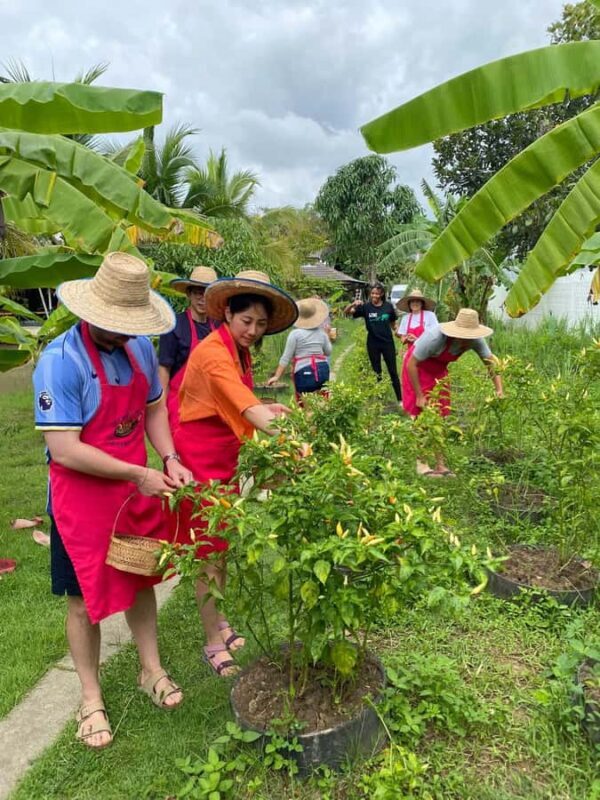 Chiang Mai:Farm-to-Table Cooking Class & Buatong Waterfall - An In-Depth Look at the Experience