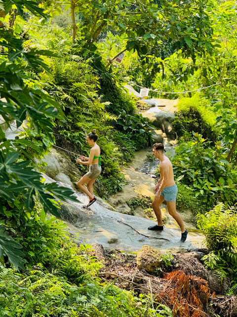 Chiang Mai:Sticky Watefall private tour with lunch - Who Should Join?