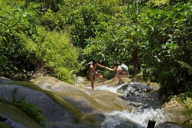 Chiang Mai:Sticky Waterfall Adventure and Bua Tong Huge Cave Tour - Lunch and Rest