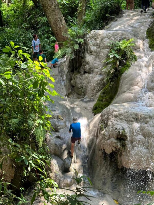 Chiang Mai:Sticky waterfall (Half Day) Hotel Transfer - Final Thoughts: Is This Tour Right for You?