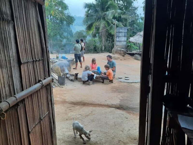 Chiang Rai 1 Day Jungle Trek with Bamboo Lunch & Local Guide - An Authentic Day in Chiang Rai’s Nature and Culture