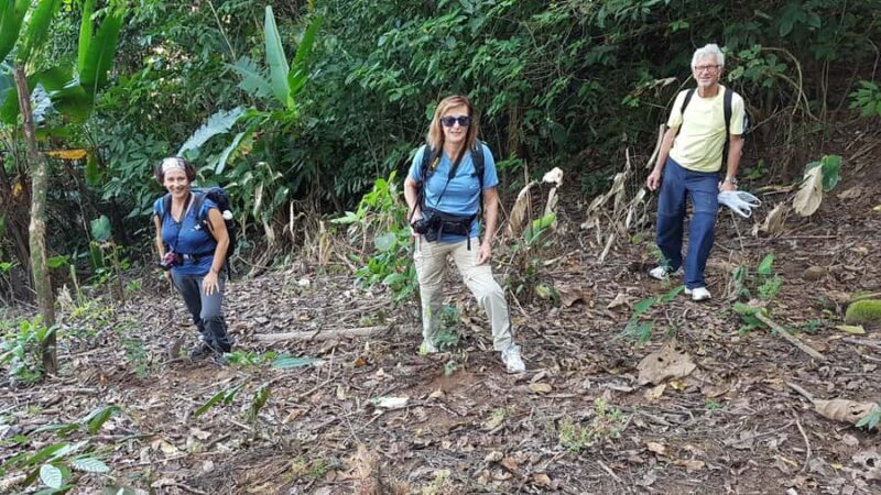 Chiang Rai 1 Day Jungle Trek with Bamboo Lunch & Local Guide - Frequently Asked Questions
