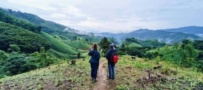 Chiang Rai: 1-Day Trekking and Longtail Boat Trip - Who Will Love This Tour?