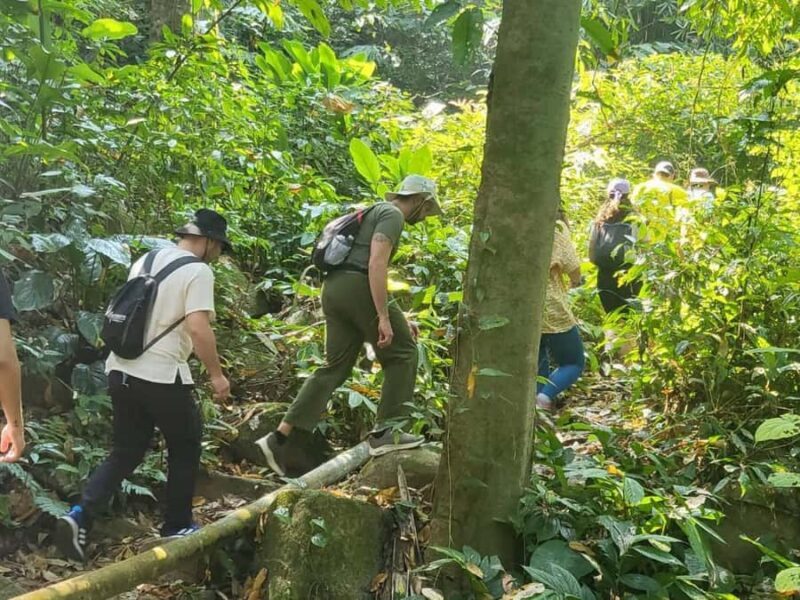 Chiang Rai Adventure Trekking & Bamboo cooking - Key Points