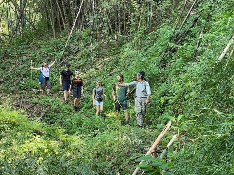 Chiang Rai Adventure Trekking & Bamboo cooking - Authenticity and Reviewer Insights