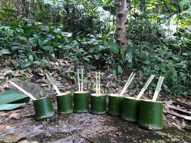 Chiang Rai Adventure Trekking & Bamboo cooking - The Sum Up: Who Will Love This Tour?