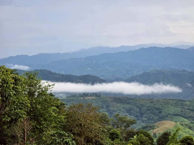 Chiang Rai: Cave, Mountain Views & Akha Coffee Experience - Key Points