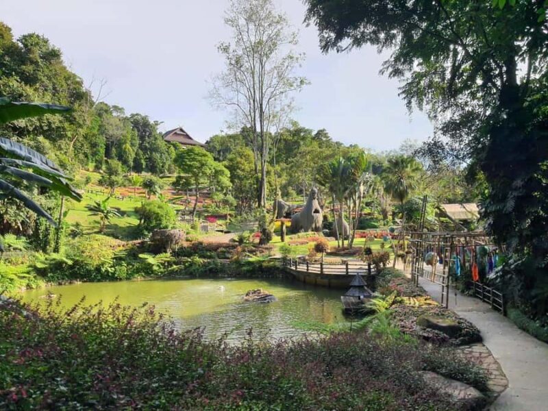 Chiang Rai: Doi Mae Salong & Doi Tung Guided Day Trip - Key Points