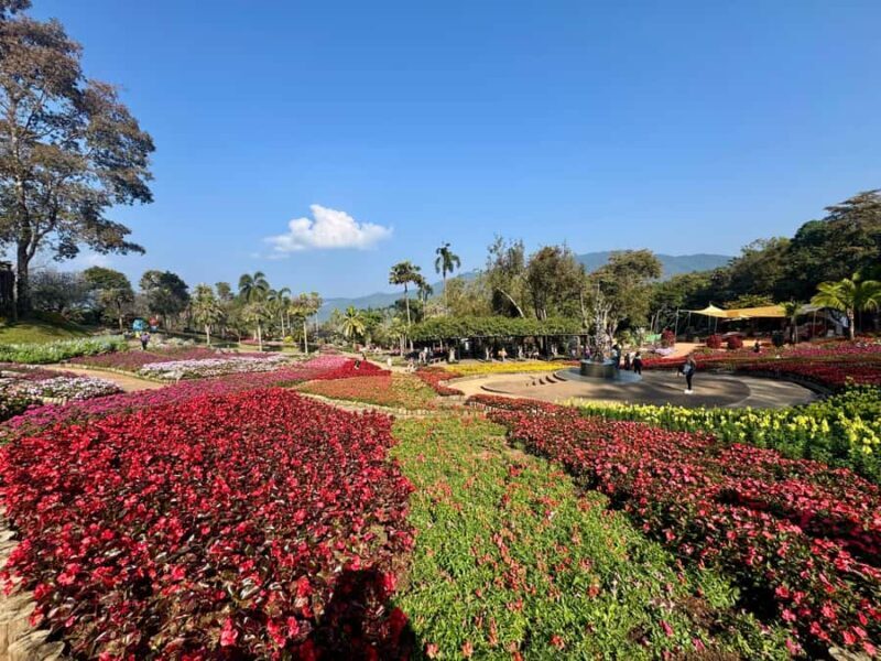 Chiang Rai: Explore Mountain & Border Routes - Private Tour - Opium Museum: A Candid Look at a Complex Past