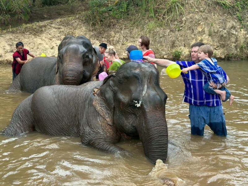 Chiang Rai: Heart to Heart Elephant Sanctuary Half Day Visit - Why This Experience Stands Out