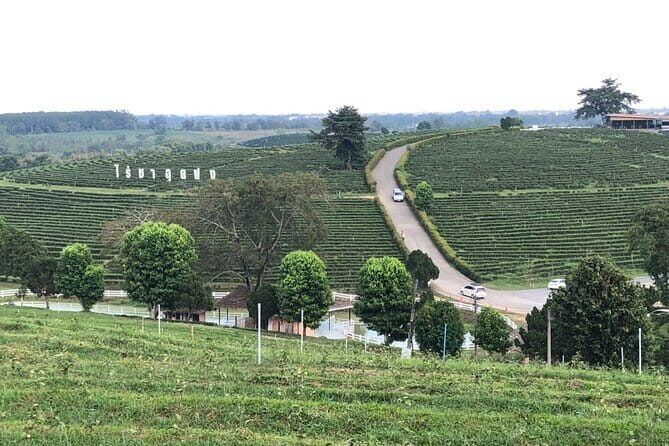 Chiang Rai Join Day Tour - Wat Rong Seur Ten (Blue Temple): The Serene Sanctuary