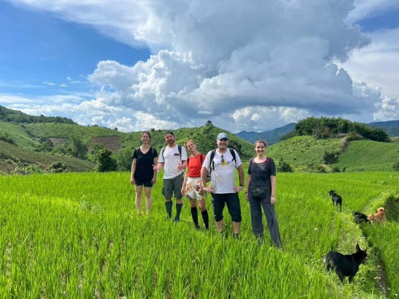 Chiang Rai: Jungle Adventure-Group Trekking & Bamboo Cooking - Key Points