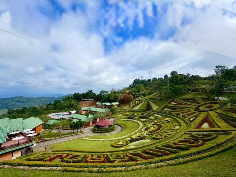 Chiang Rai: Mountains Discovery Doi Mae Salong & Doi Tung - Authentic Experiences and Local Touches