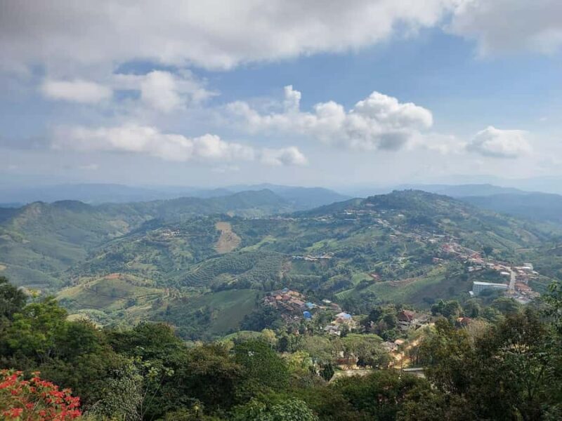 Chiang Rai: Mountains Discovery Doi Mae Salong & Doi Tung - FAQ