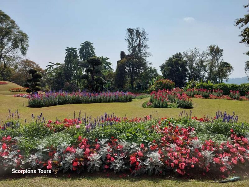 Chiang Rai: Mountains Discovery (Group Tour) - The Value of This Tour