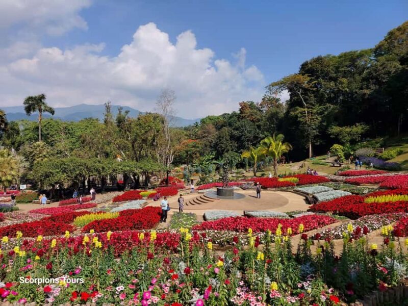 Chiang Rai: Mountains Discovery (Group Tour) - Who Should Book This Tour?