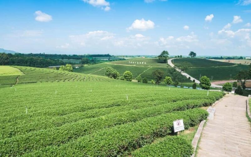 Chiang Rai: Private Customized Tour3 Places of Your Choice - Who Should Consider This Tour?