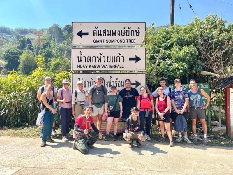 Chiang Rai: Temples, Waterfall, & Hot Springs Tour - Key Points
