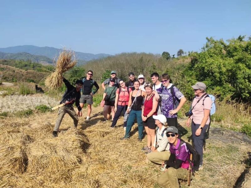 Chiang Rai: Temples, Waterfall, & Hot Springs Tour - A Closer Look at the Tour Experience