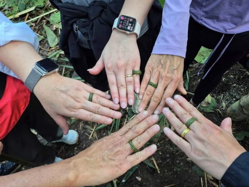 Chiang Rai: The Adventure of Trekking & Bamboo Cooking - Key Points