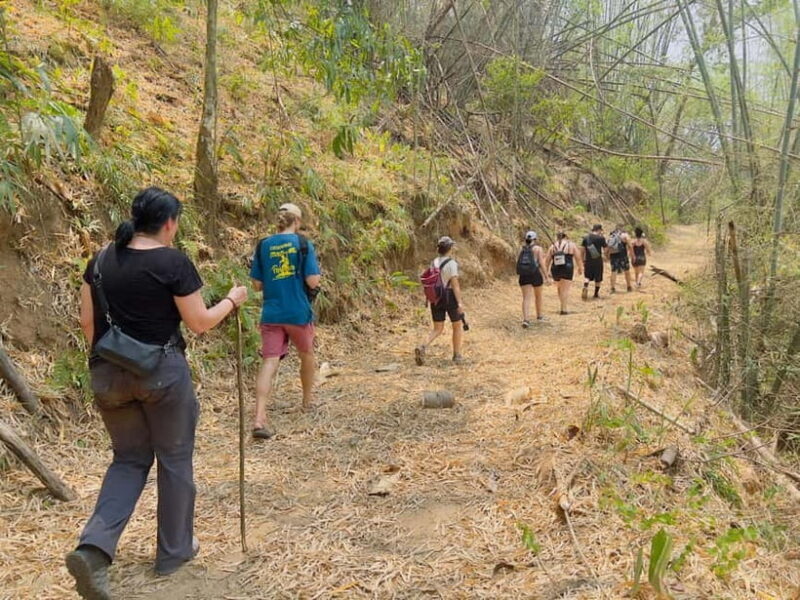 Chiang Rai: The Adventure of Trekking & Bamboo Cooking - The Sum Up