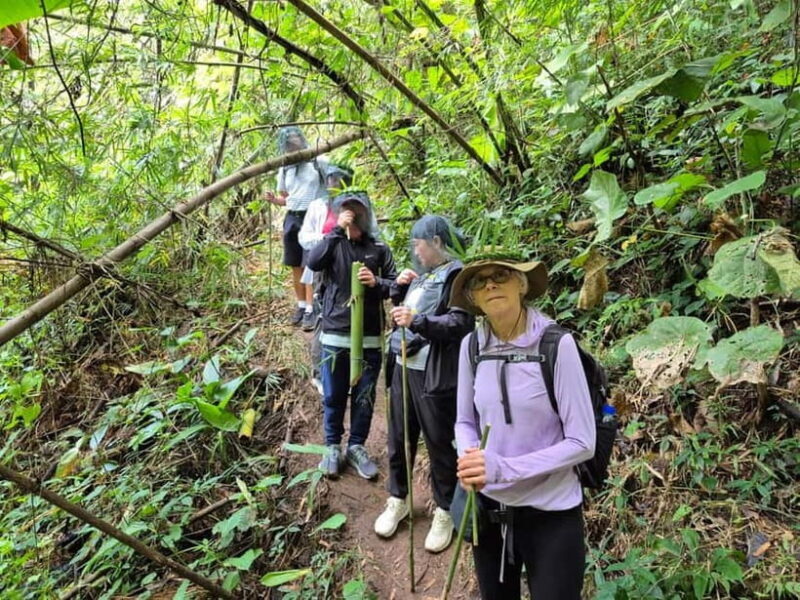 Chiang Rai: The Adventure of Trekking & Bamboo Cooking - FAQ