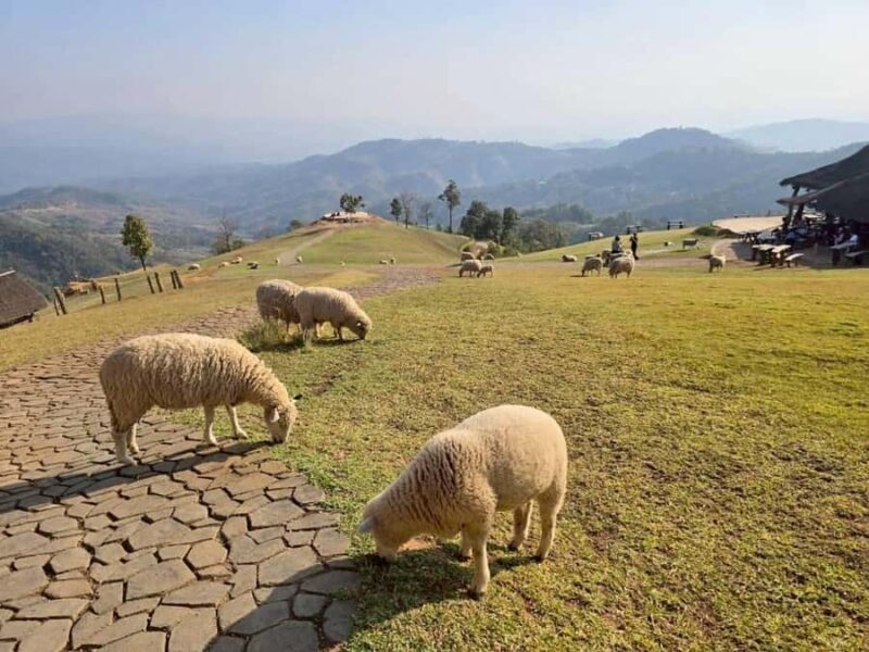 Chiang Rai to Chiang Mai: Private Scenic Transfer Tour - Discover the Scenic Charm of a Chiang Rai to Chiang Mai Transfer