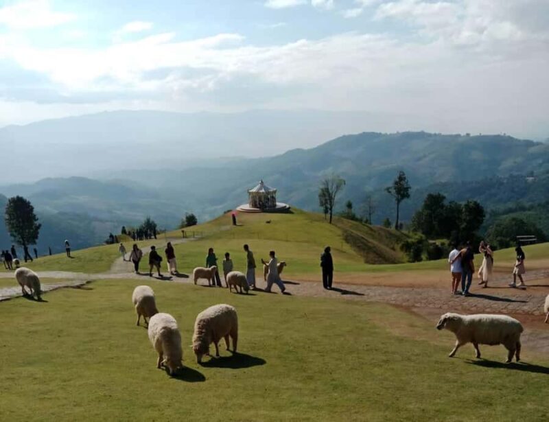 Chiang Rai to Chiang Mai: Private Scenic Transfer Tour - Key Points