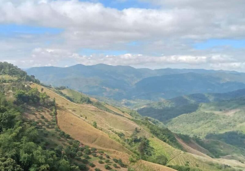 Chiang Rai to Chiang Mai: Private Scenic Transfer Tour - Practical Details & Value