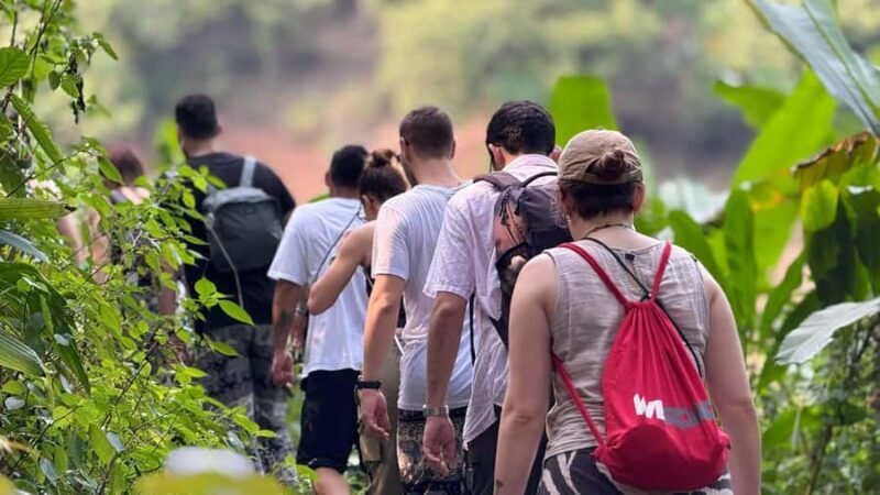 Chiang Rai: Unforgettable Trekking Tour with Bamboo Cooking - Key Points