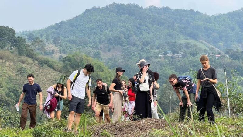 Chiang Rai: Unforgettable Trekking Tour with Bamboo Cooking - An In-Depth Look at the Chiang Rai Trekking & Bamboo Cooking Tour
