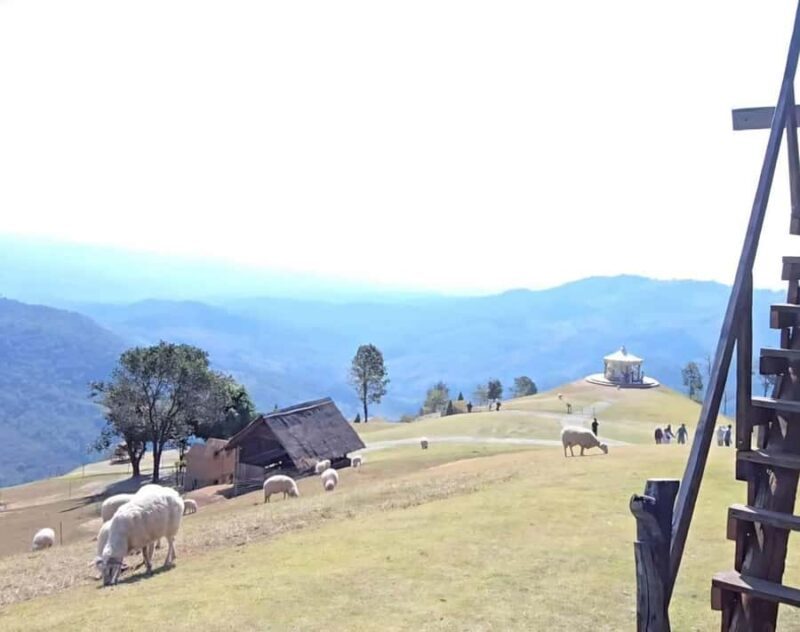 Chiang Rai: White Temple, Doi Chang, & Hot Springs Tour - FAQs