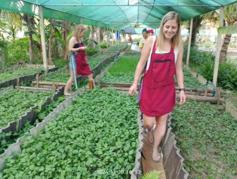 Chiang Rai:Lanna Home Cooking Class at Give Green Farm House - Final Thoughts: Why Choose This Cooking Class?
