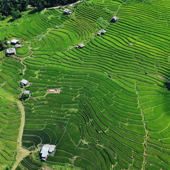 Chiangmai : Doi Inthanon unseen spot , Rice terrace & temple - Who Is This Tour For?