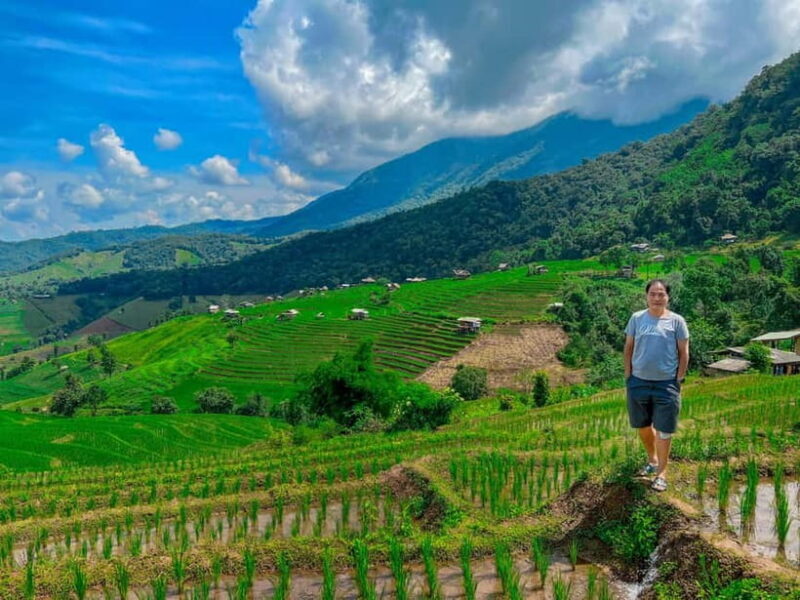 Chiangmai : Doi Inthanon unseen spot , Rice terrace & temple - Key Points