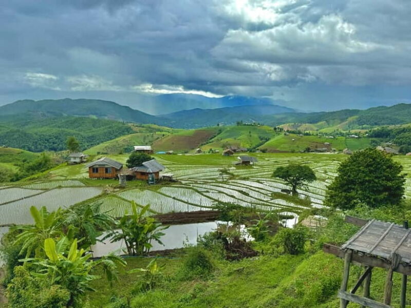 Chiangmai : Doi Inthanon unseen spot , Rice terrace & temple - What Reviewers Say