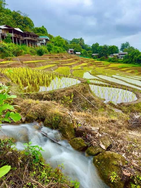 Chiangmai : Doi Inthanon unseen spot , Rice terrace & temple - FAQ