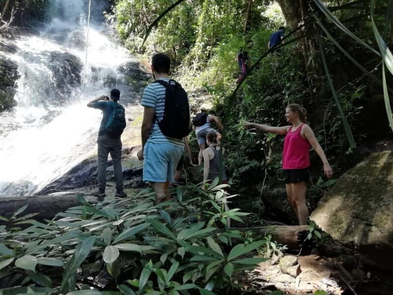 Chiangmai : Doi Pui Summit Hiking Experience - The Summit and Return Journey