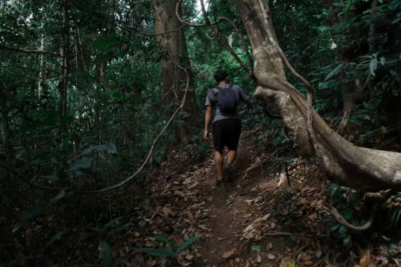 Chiangmai : Doi Pui Summit Hiking Experience - Analyzing the Value