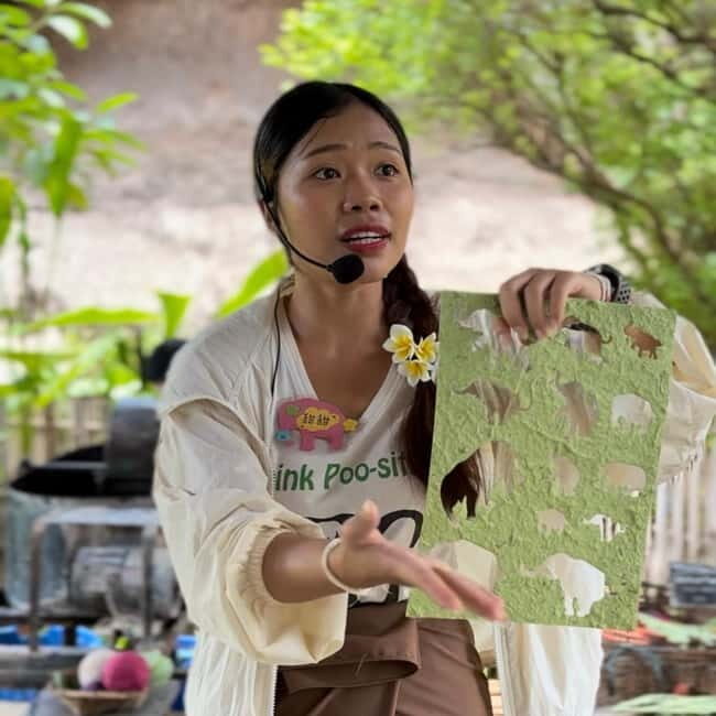 ChiangMai Elephant POOPOOPAPER Park Optional StickyWaterfall - Introduction: A Well-Rounded, Sustainable Adventure in Chiang Mai