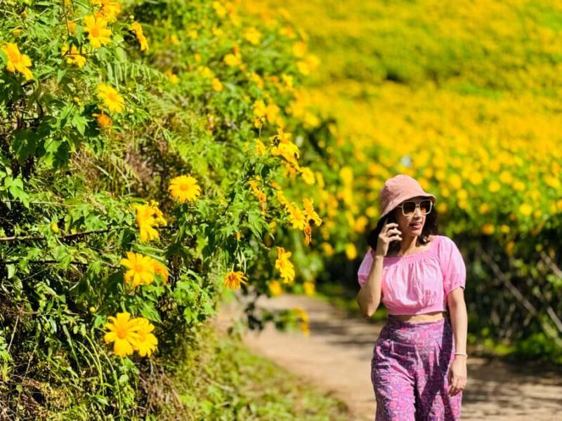 Chiangmai : Experience the magic of Mexican Sunflower field - Key Points