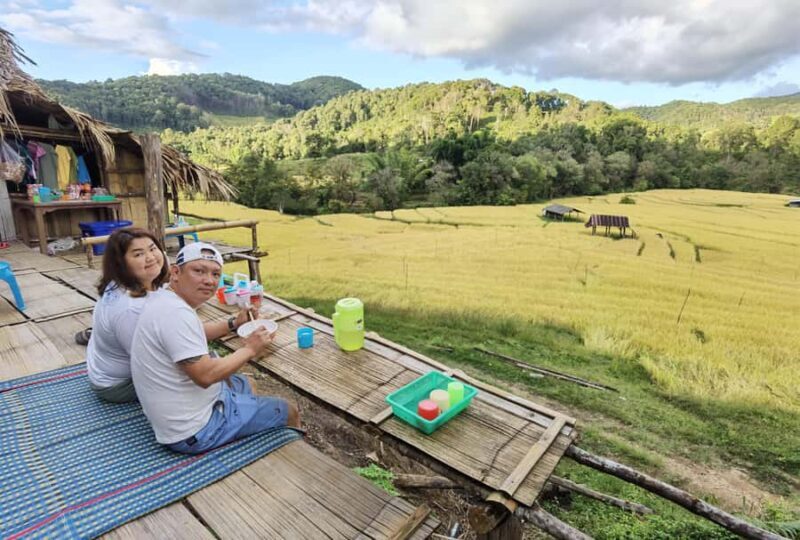 Chiangmai : Experience the magic of Mexican Sunflower field - FAQ