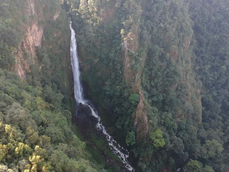 Chiangmai : Experience the magic of Mexican Sunflower field - Final thoughts