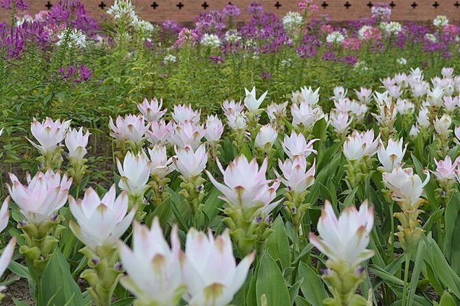 Chiangmai Grand Canyon and Royal Flora Rajapruk - What’s Included and What’s Not