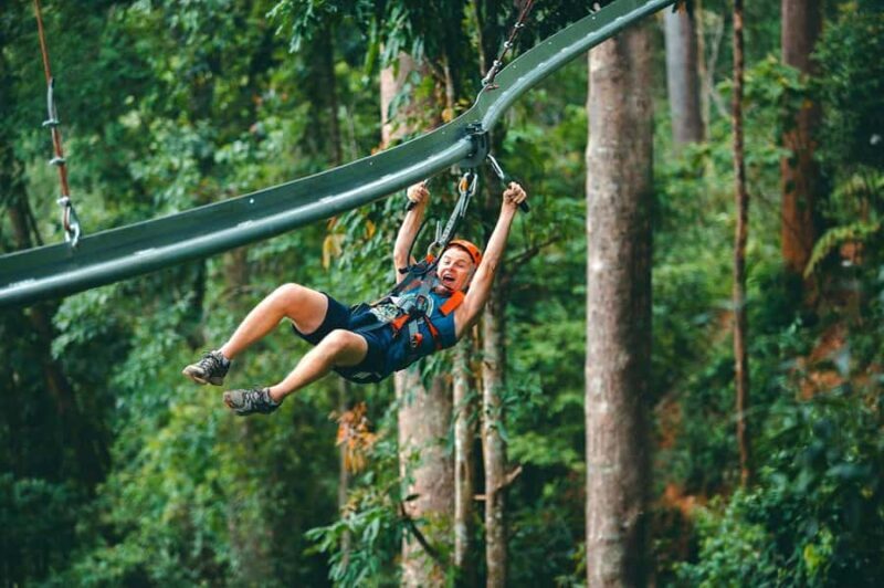 CHIANGMAI: Jungle Flight Zipline and Thai Cooking Class - An Adventure-Driven Start: Ziplining Through the Jungle